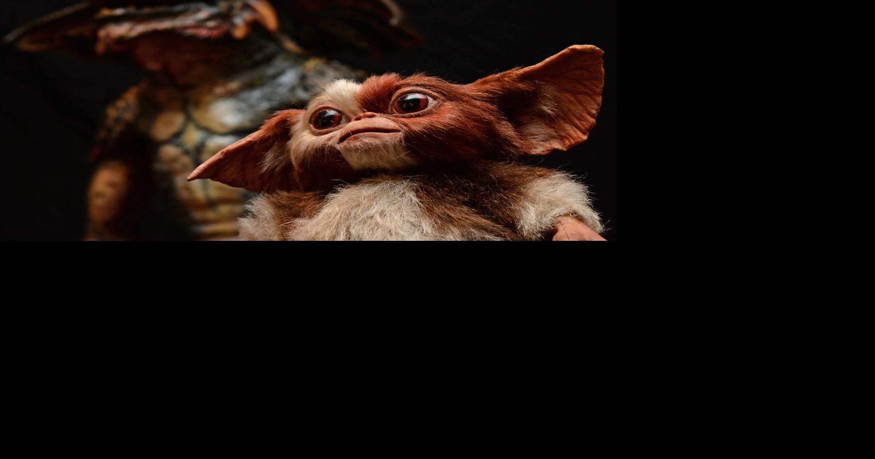 'Gremlins 3' is real: Steven Spielberg, Chris Columbus reuniting for ...