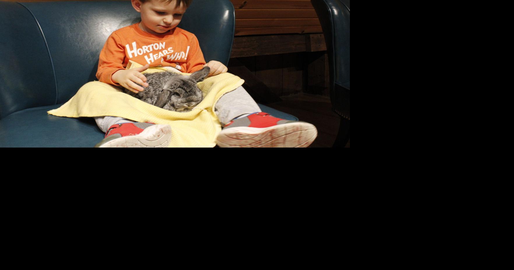 Hoppy (early) Easter from The Smiley Barn | Local News | gmtoday.com