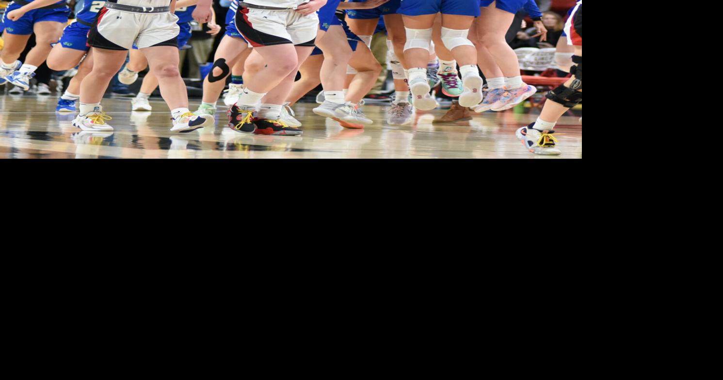 Pewaukee falls to Notre Dame in D2 girls basketball state championship ...