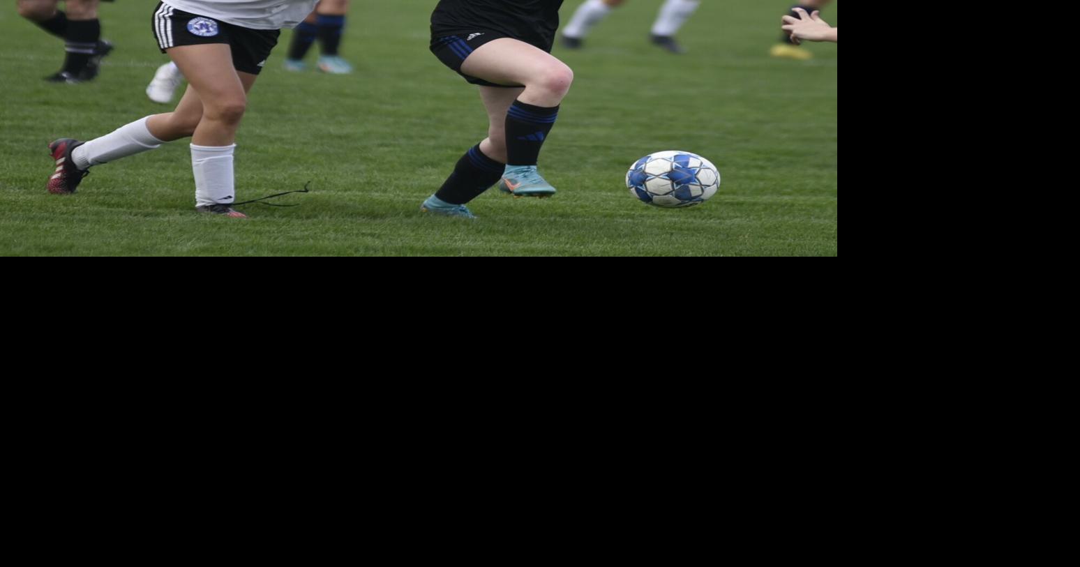 Rain, rain, go away: New Berlin West wins shortened match | Waukesha Co ...