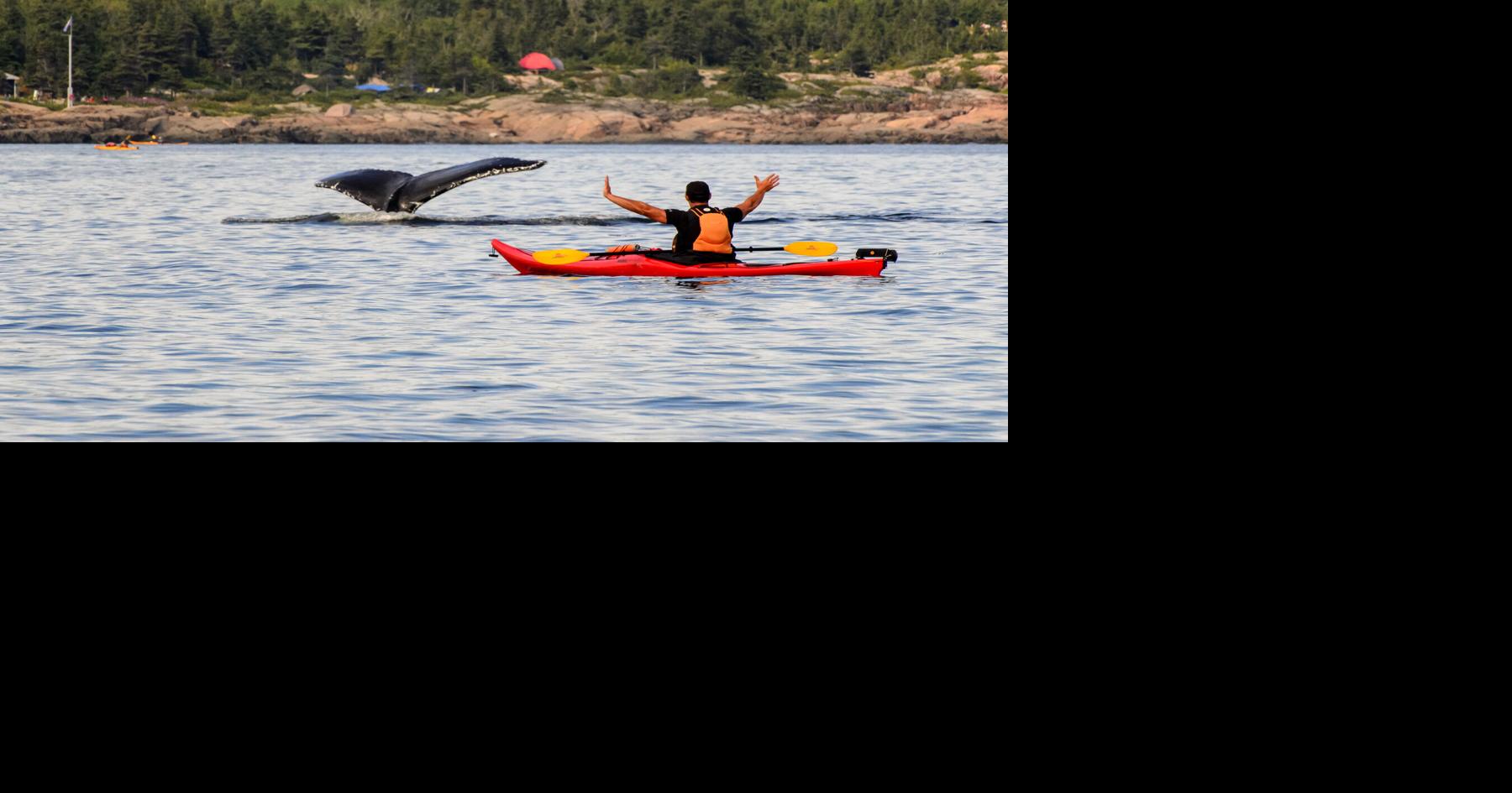 Kayaking in unusual places gives a unique perspective to sightseeing ...