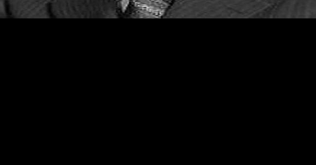 Gerald "Jerry" Ernest Osborne, 85 | Ozaukee County Obituaries | gmtoday.com