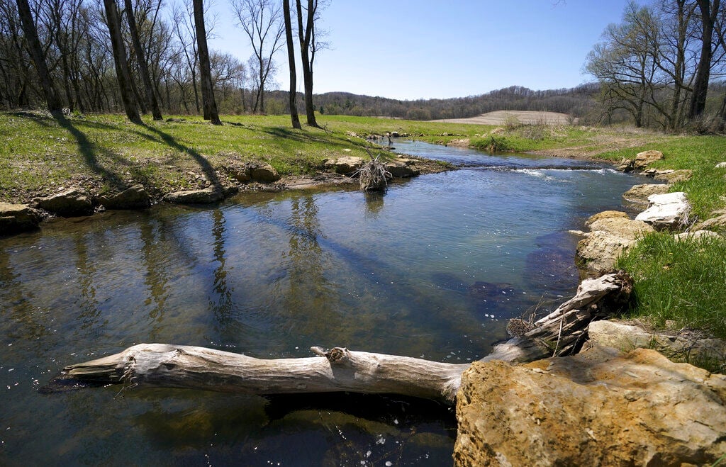 Protector works to save beauty of Kickapoo Valley Reserve | News ...