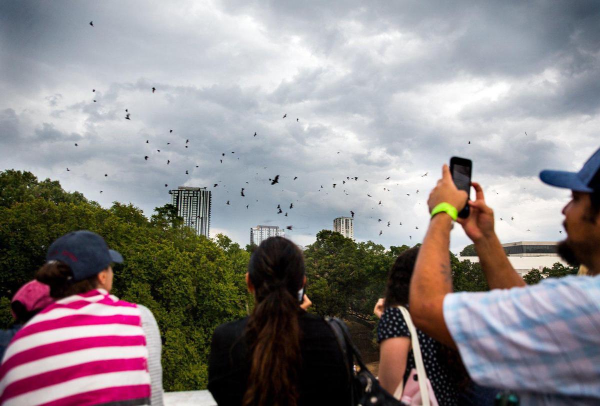 Despite coronavirus fears, Austin’s ‘bat attitude’ prevails | Travel ...