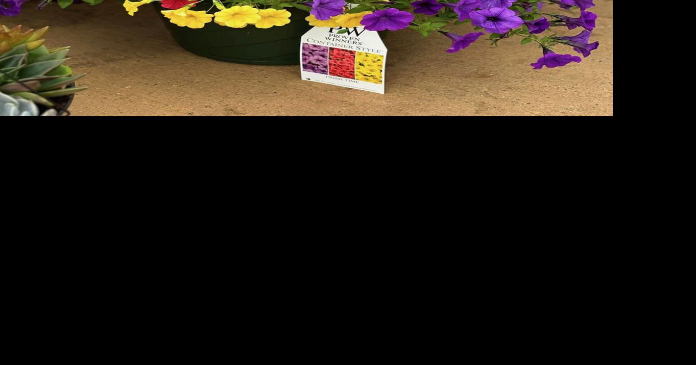 On Gardening: Three-part harmony container design for beginners ...