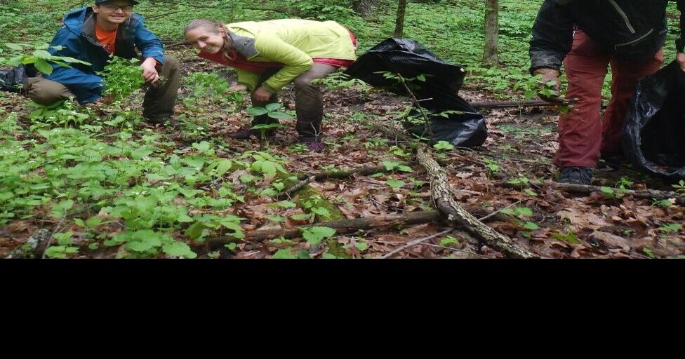 DNR asking for public’s help in combating invasive species spread ...