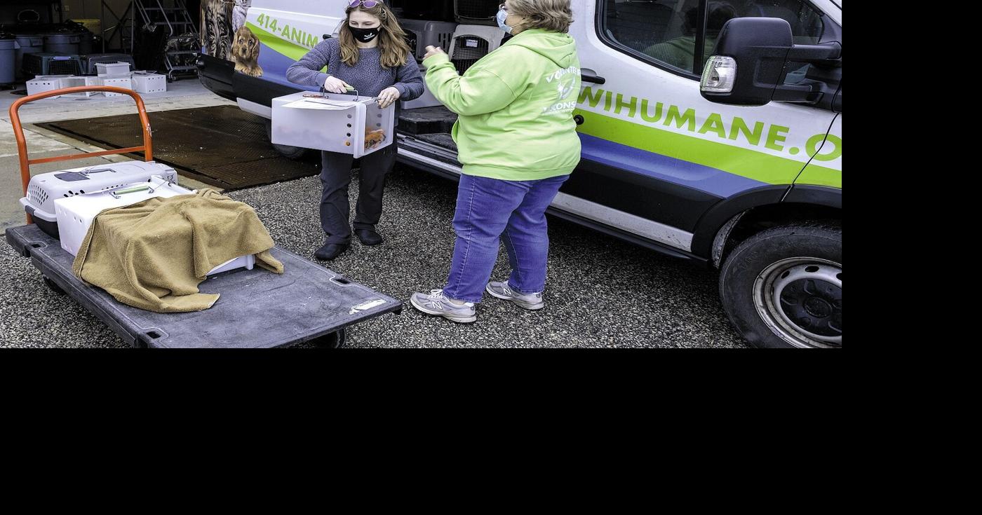 Adoptions halted at three Milwaukee Humane Society shelters amid rise ...