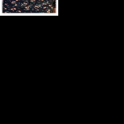 Susan M. Schulteis | Washington County Obituaries | gmtoday.com