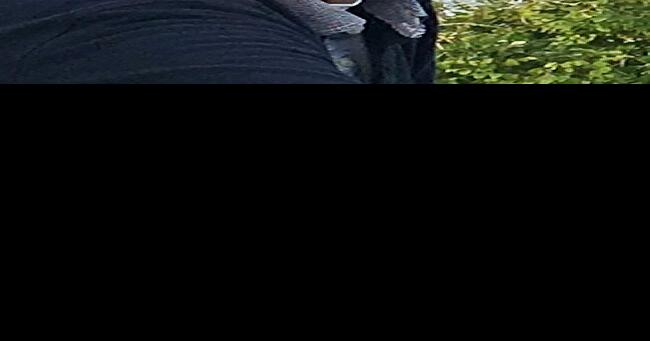 Willard Frank Riemer, 80 | 2021 | gmtoday.com