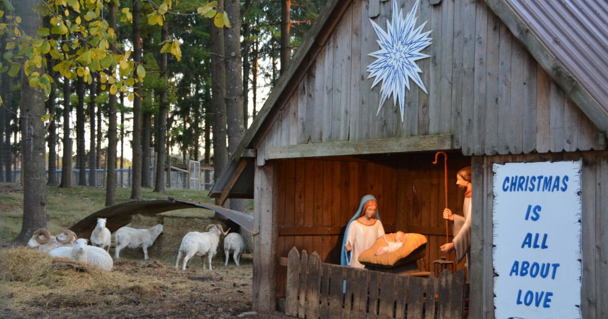 Shalom Zoo all set for Christmas | Washington Co. News | gmtoday.com