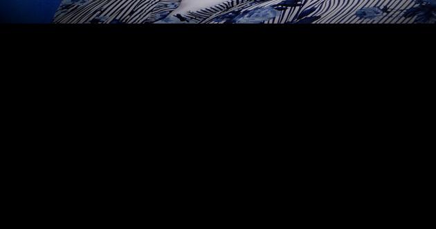 Barbara Ann Schneider | Washington County Obituaries | gmtoday.com