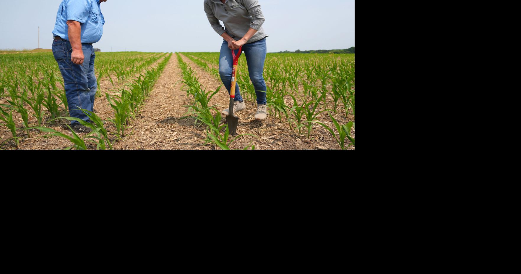 Minnesota farmers saw income drop 76% last year from plunging commodity ...