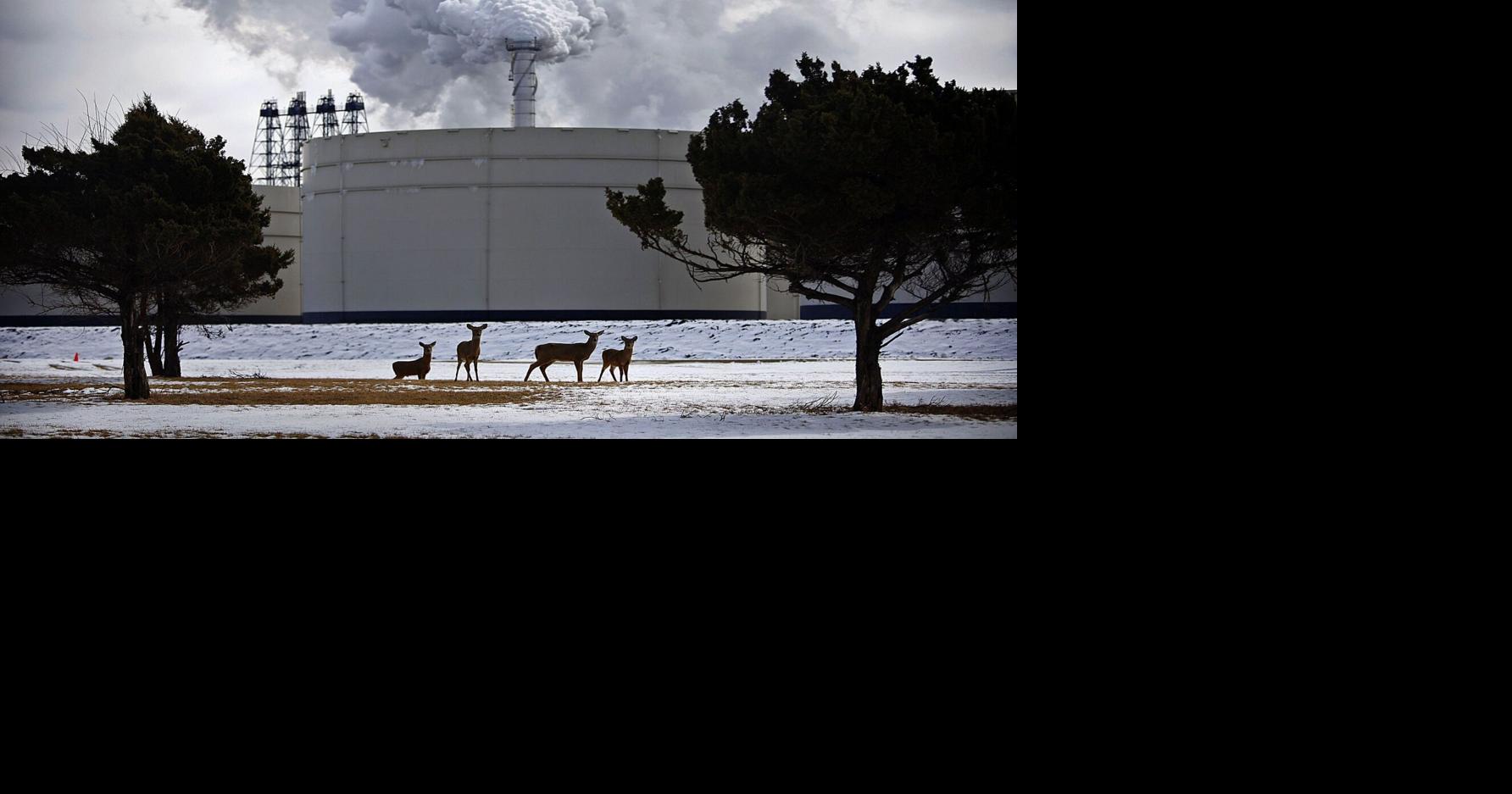 3 Chicago-area refineries that dump toxins into Lake Michigan, rivers are among worst polluters ...