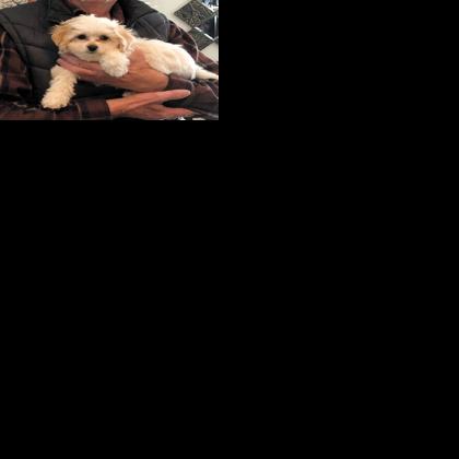 William ‘Reid’ Bierman | Waukesha County Obituaries | gmtoday.com