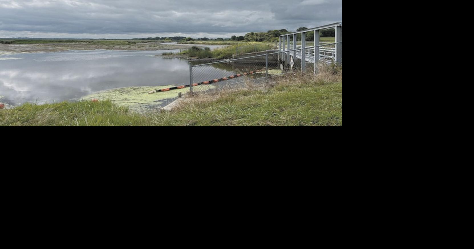 Drawdown necessary for main dike repairs at Theresa Marsh Wildlife Area ...