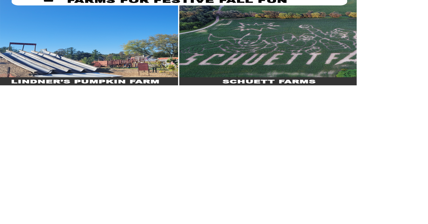 4 southeastern Wisconsin pumpkin farms to experience festive fall fun ...