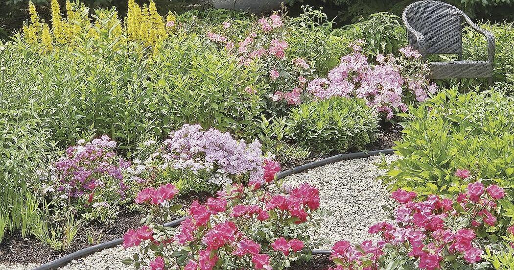 Cedarburg Garden Walk is July 13 and 14 | Ozaukee Co. News | gmtoday.com