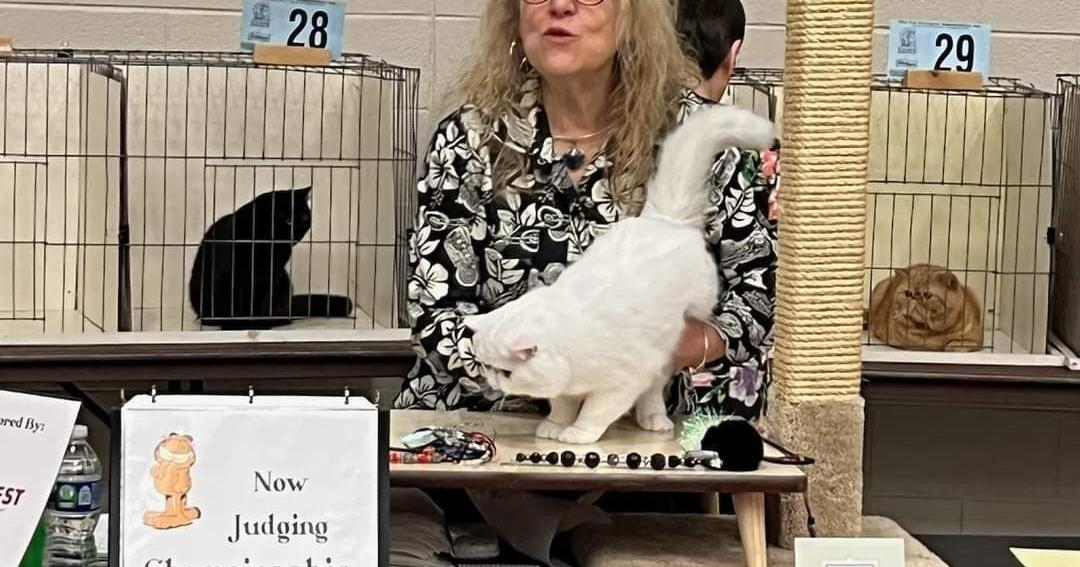 Wisconsin Cat Show returns to Expo Center on Saturday | Waukesha Co ...