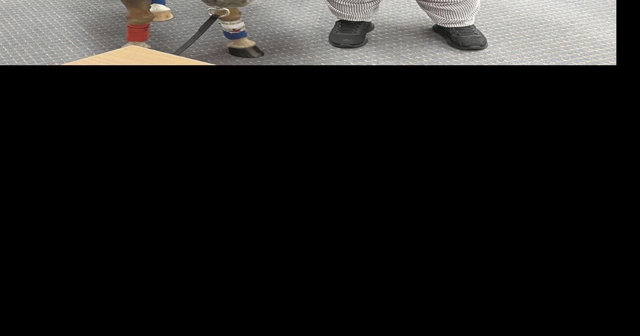 Library Memory Project celebrates impactful 2024 | Waukesha Co. News ...