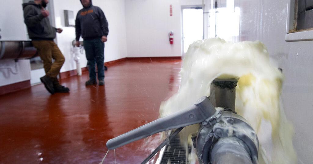 Dairy farmers begin to flush away milk due to coronavirus | Business ...