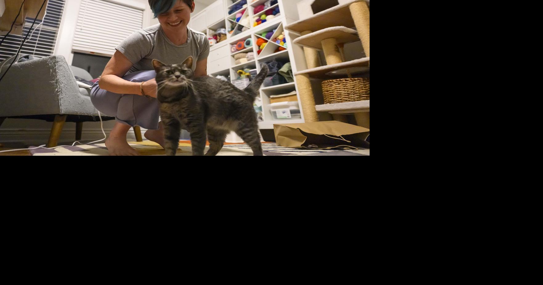 Beyond PMS: A poorly understood disorder means periods of despair for ...