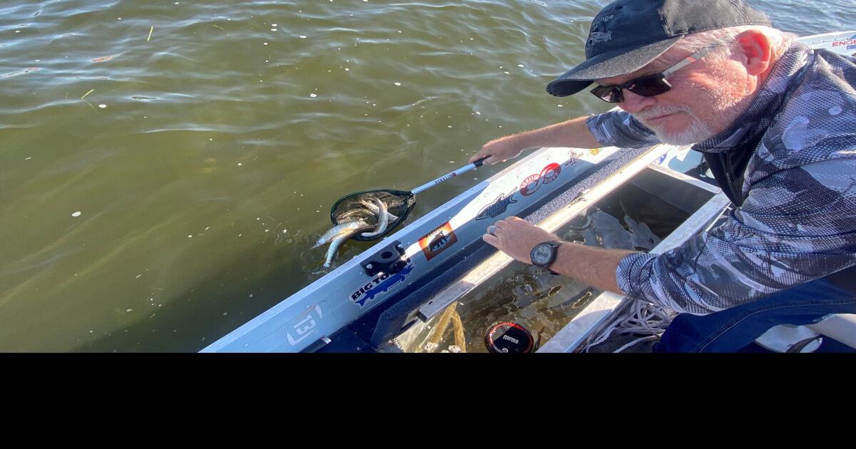 Multiplying muskies: Tenth annual Bob Baumann Memorial Stocking stocks ...