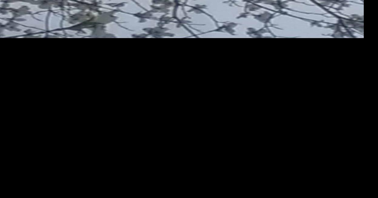 Holiday message: An Easter alignment on personal level