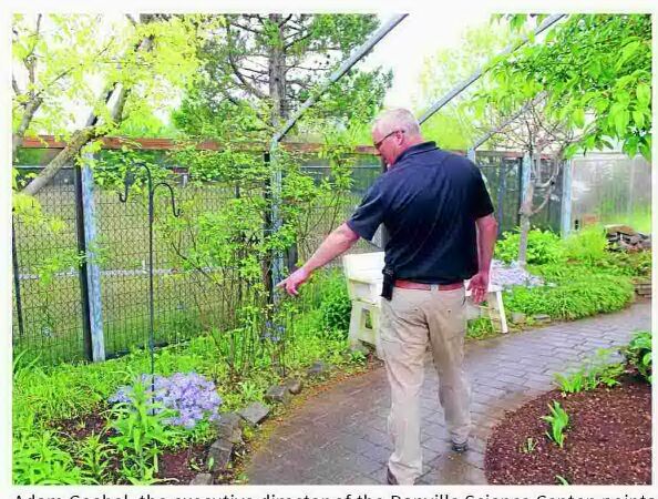 FLUTTERING SCIENCE: BUTTERFLIES COMING