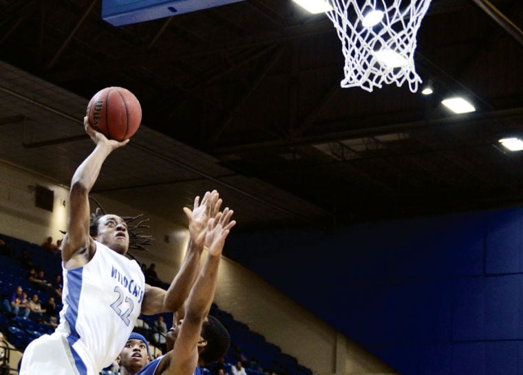 Dan River punches ticket to VHSL title game | High School | godanriver.com