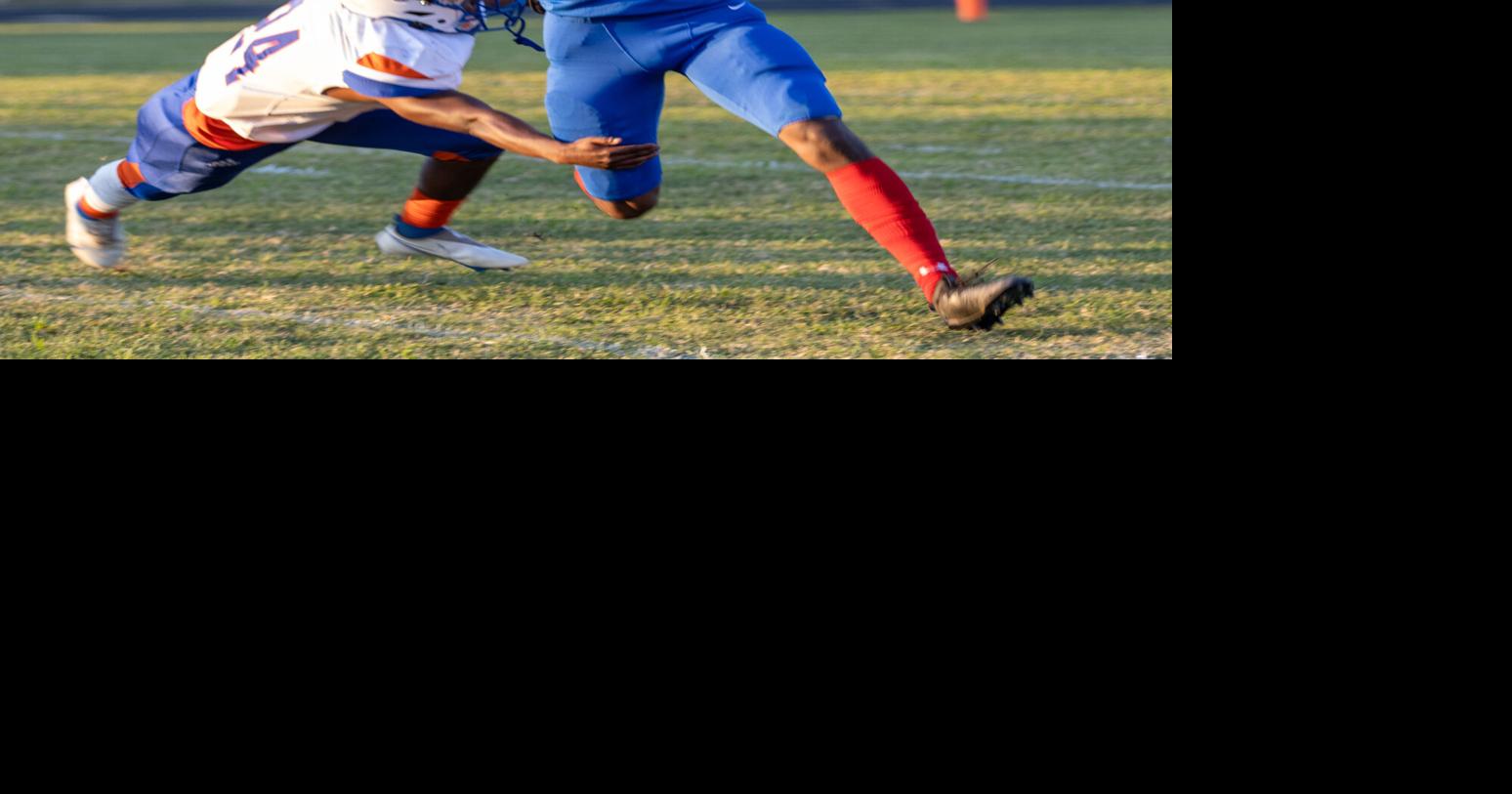 Dan River Wildcats aim to gain ground in 2022