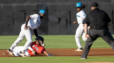 Danville Otterbots split 4-game homestand