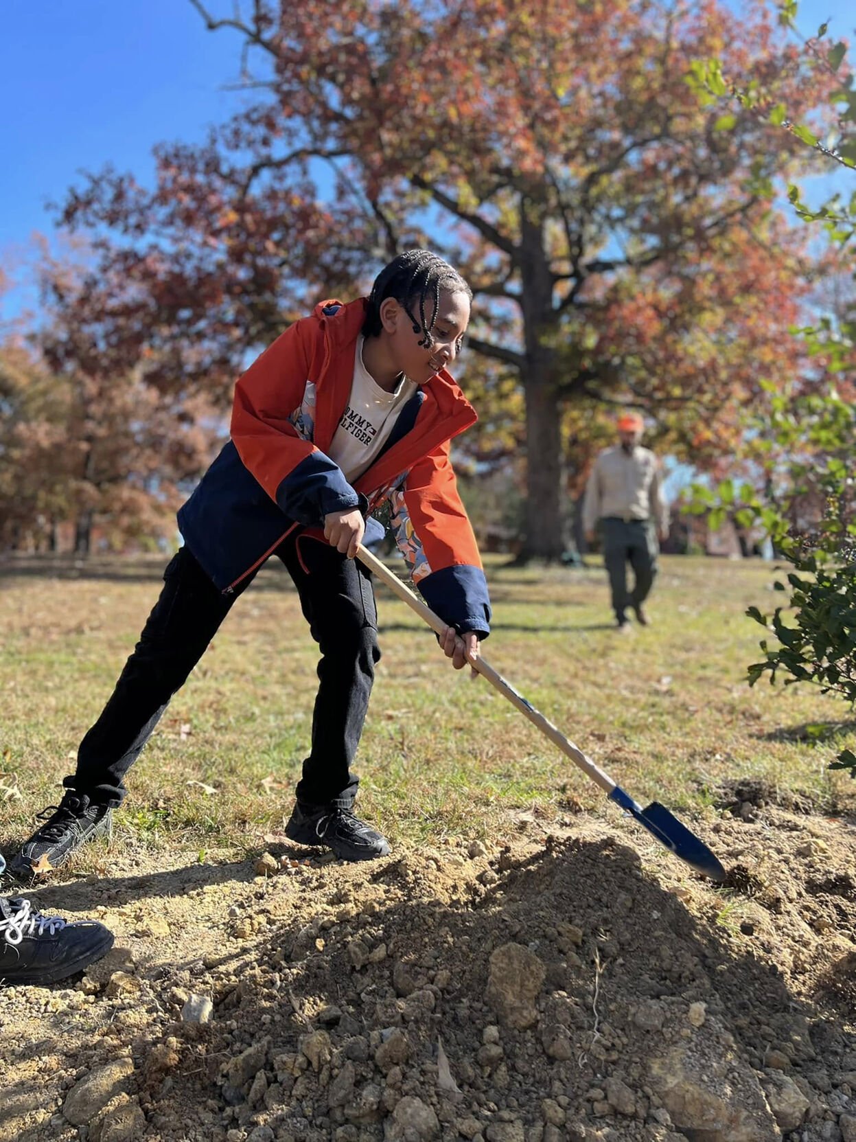 With $100K grant, Danville aims to plant 370 trees, shrubs