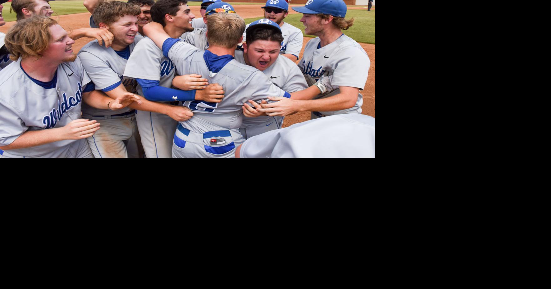 Dan River baseball captures 2A state championship in walk-off fashion