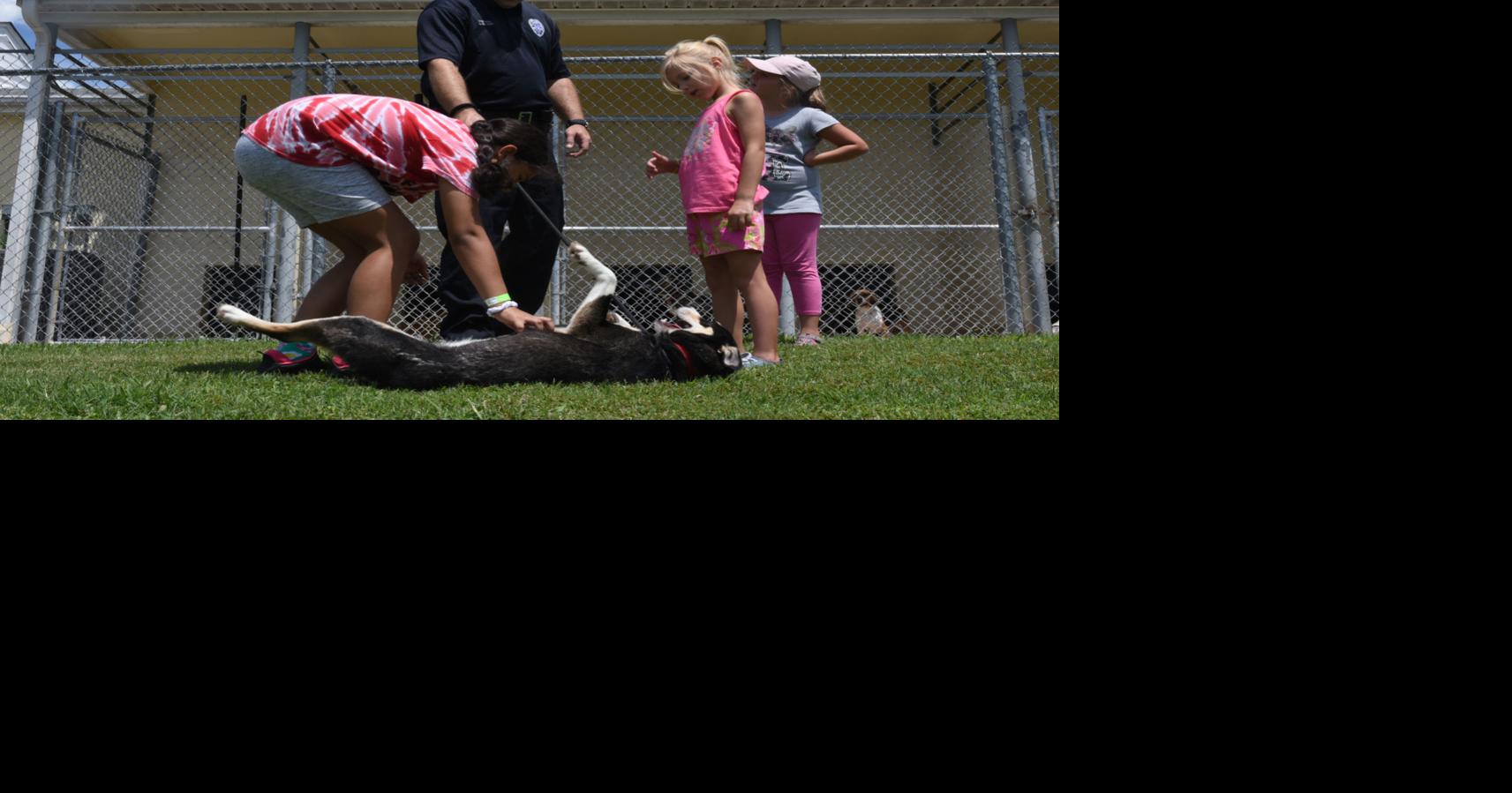 With Cops and Critters, Danville police, humane society team up to ...