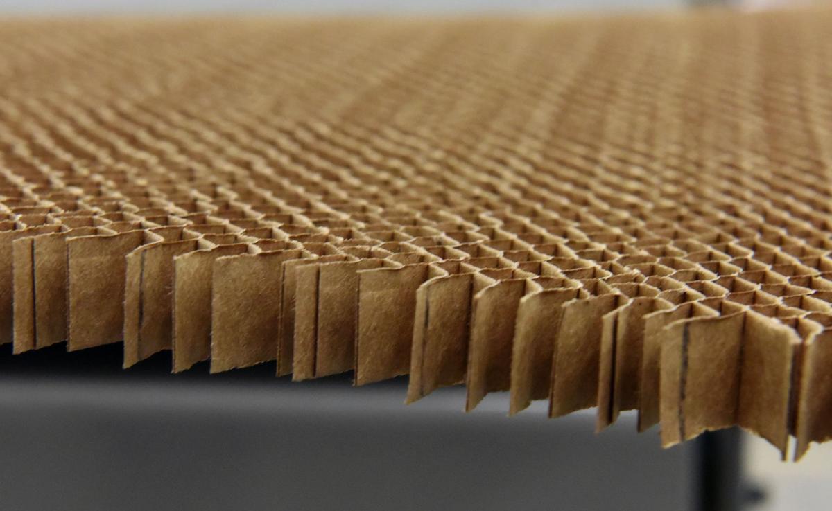 Axxor to add 21 new jobs with $3.5 million Ringgold expansion