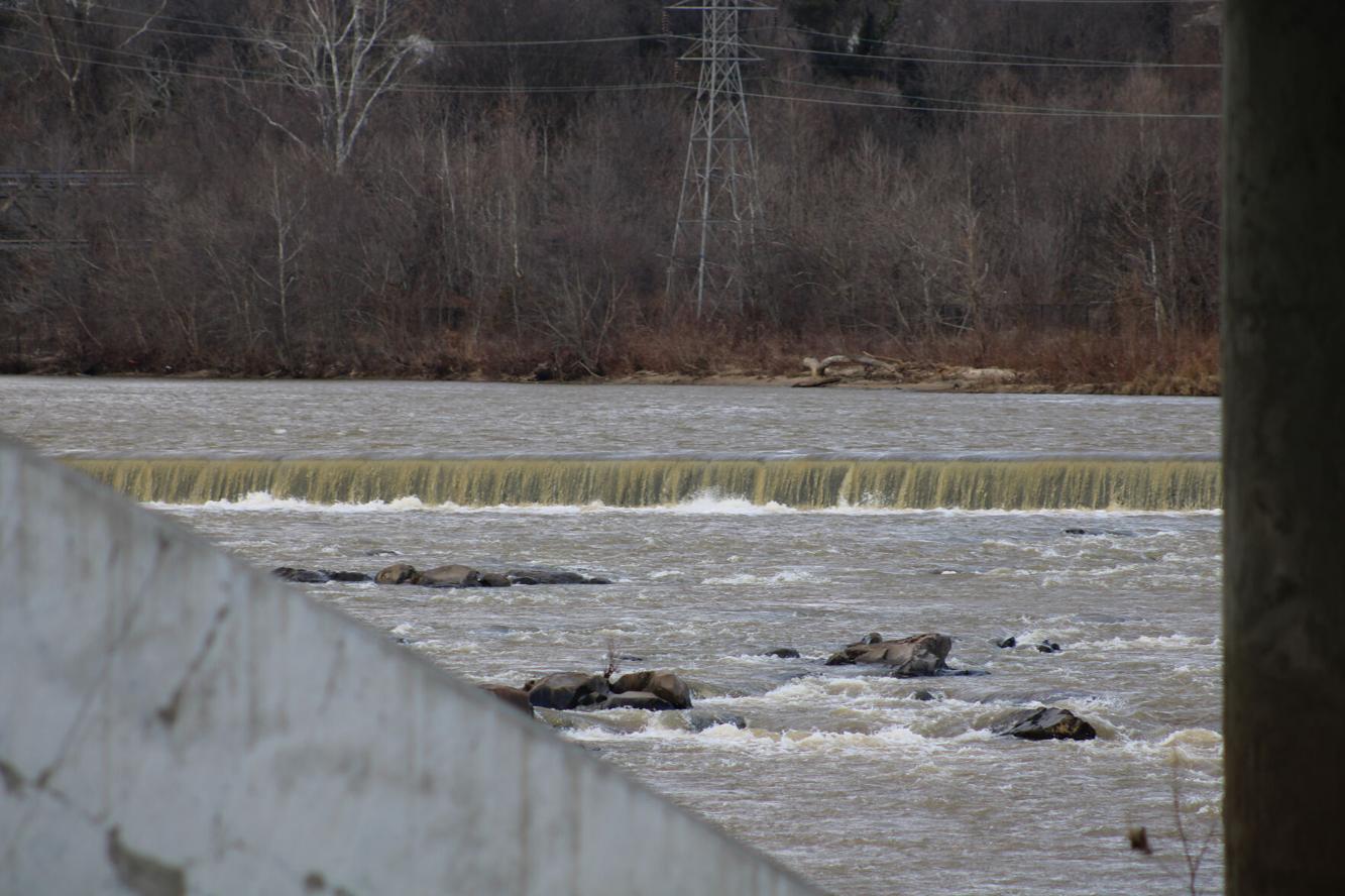 Danville receives bids for removal of Long Mill dam