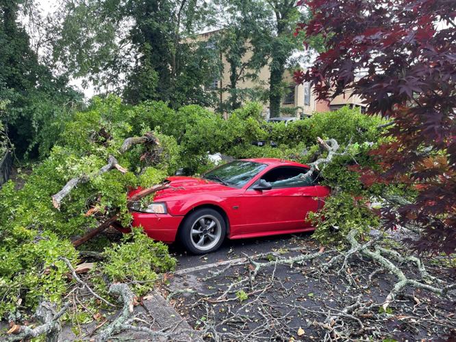 Update: Cars crushed, trees toppled, power sliced as severe storm rocks ...