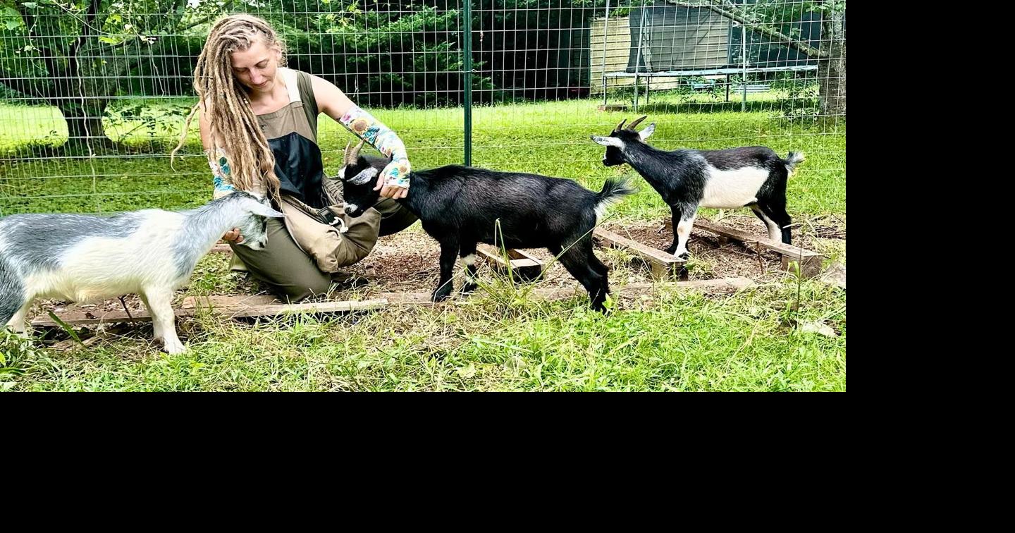 LPD looking for suspects in killing of 3 goats | News | golaurens.com