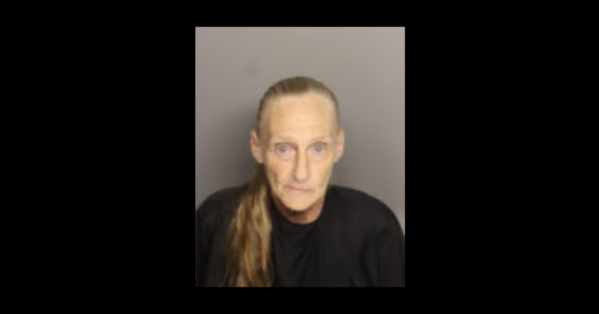 Robin Hatley Faces Felony Charges in Abuse Case | News | golaurens.com