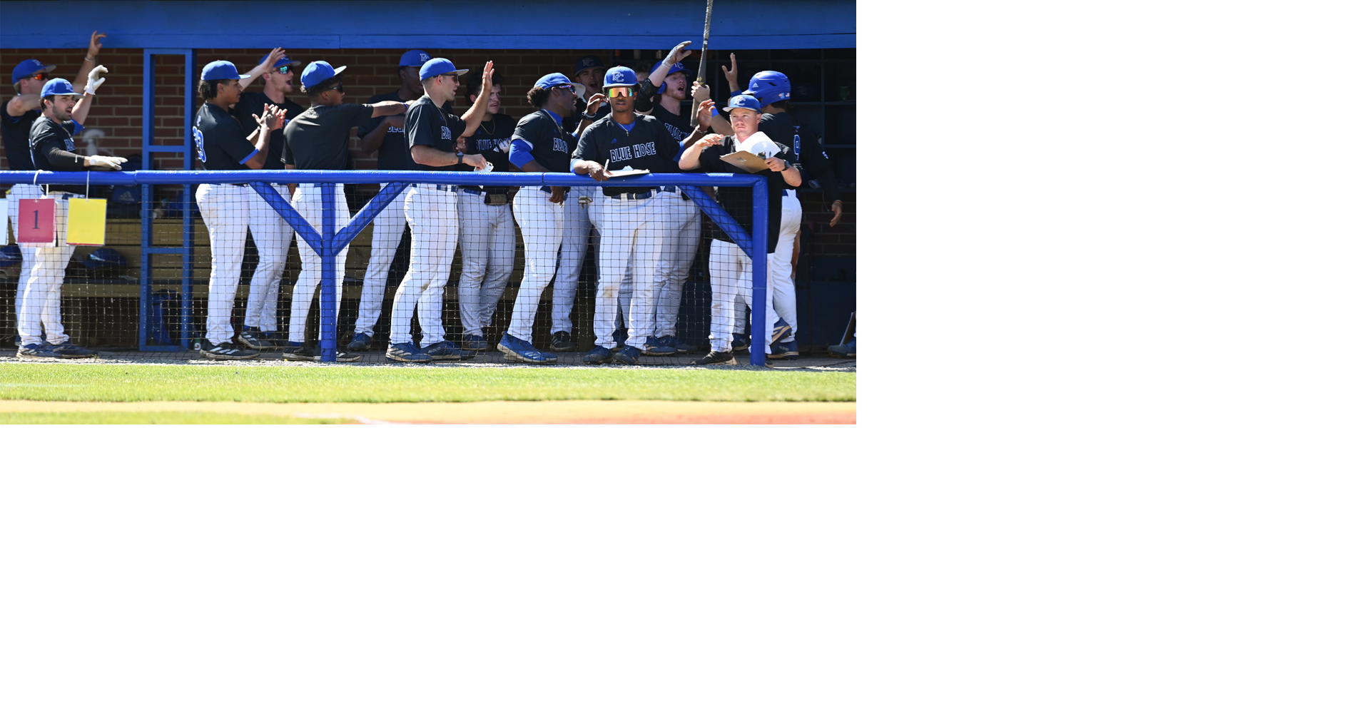 PC baseball wins Big South regular season championship | Sports ...