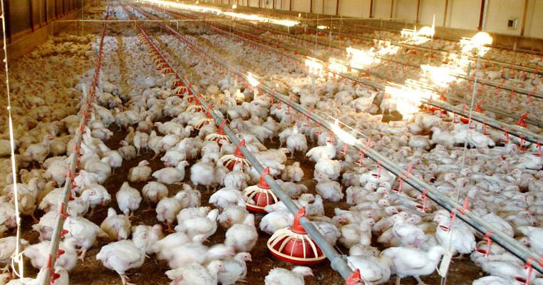 Mountville group headed to SC Court of Appeals to fight against more ...