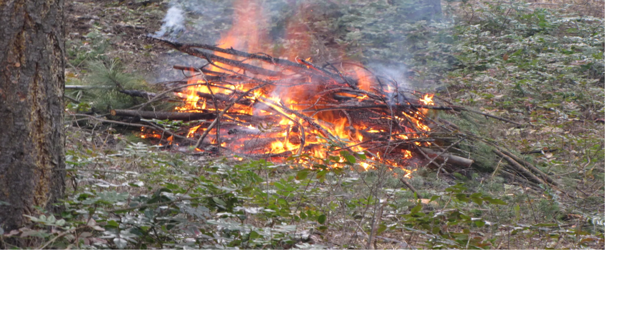 SC Forestry Commission issues statewide burning ban | News | golaurens.com