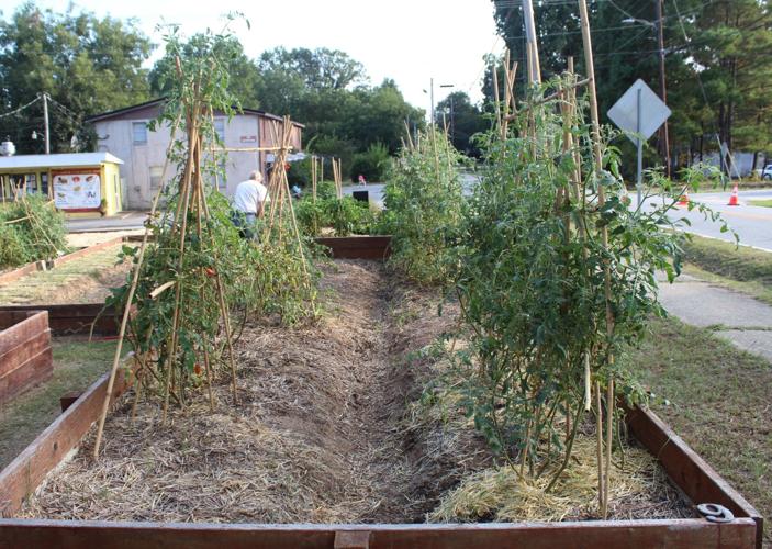 Clinton community garden opens new pavilion | GoClinton.com | golaurens.com