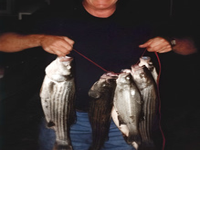 Barney Richard Barbery - Laurens | Obituaries | golaurens.com