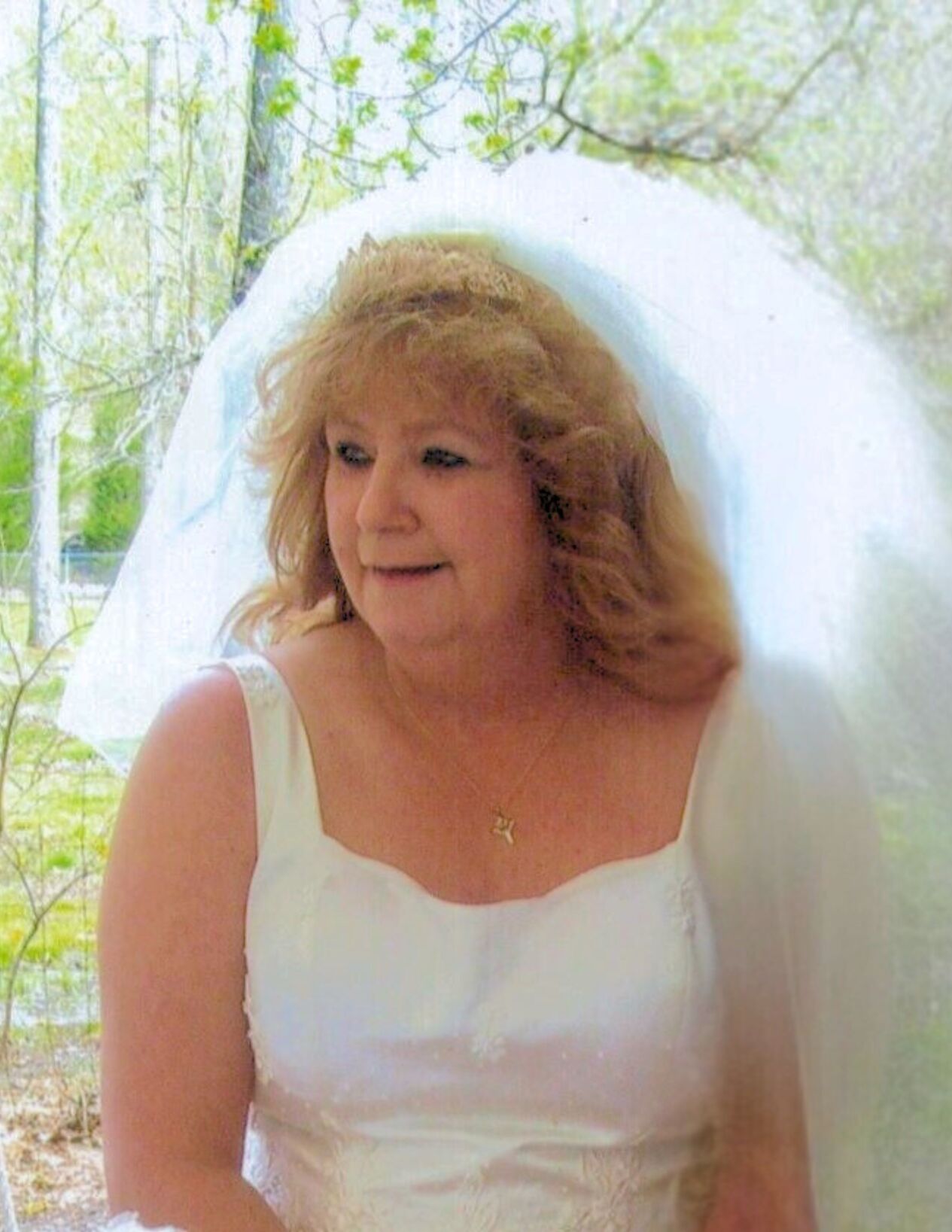 Virginia Ann Hollingsworth | Obituaries | golaurens.com