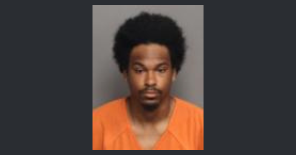 stephen kristopher brown