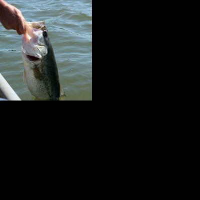 Fishing Rodeo to be held at Lake Rabon | Sports | golaurens.com