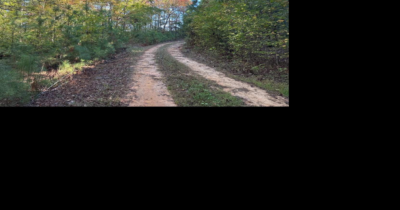 Over 2,100 acres conserved by Upstate Forever in 2025 | News ...