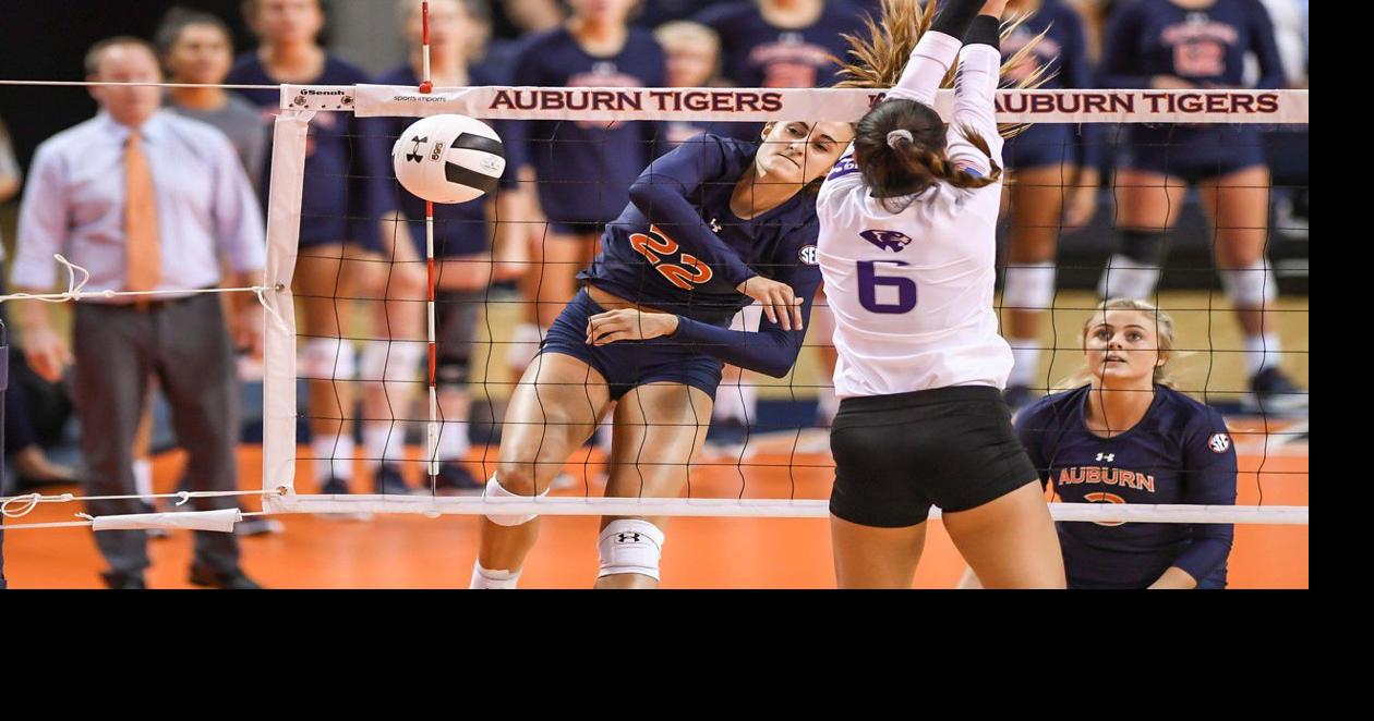 Anna Stevenson transferring from Auburn to Louisville | Sports ...