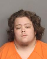 Crime Report | golaurens.com